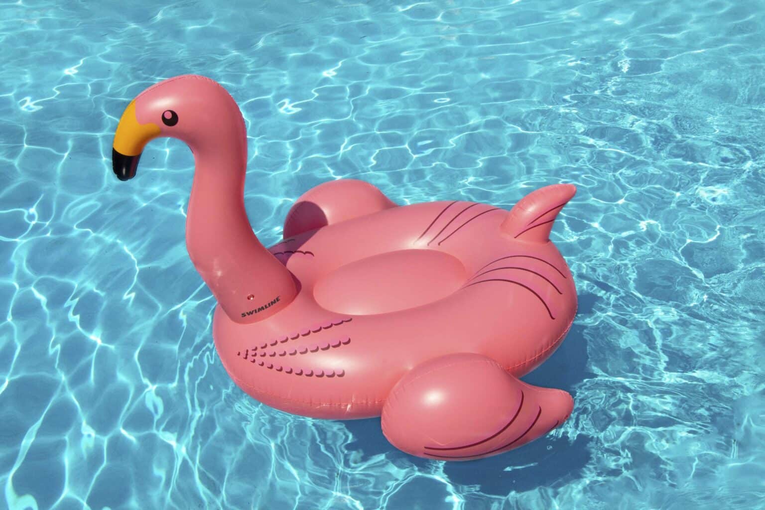 Swimline 90627 Giant Flamingo - Shop Valley Pool & Spa - Floats, Rafts ...